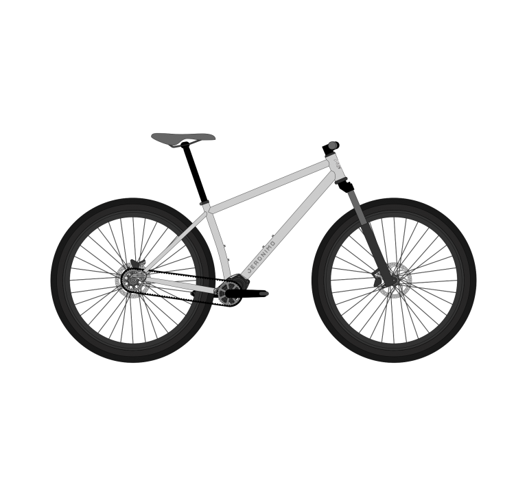 Custom Ti frame - Jeronimo Cycles